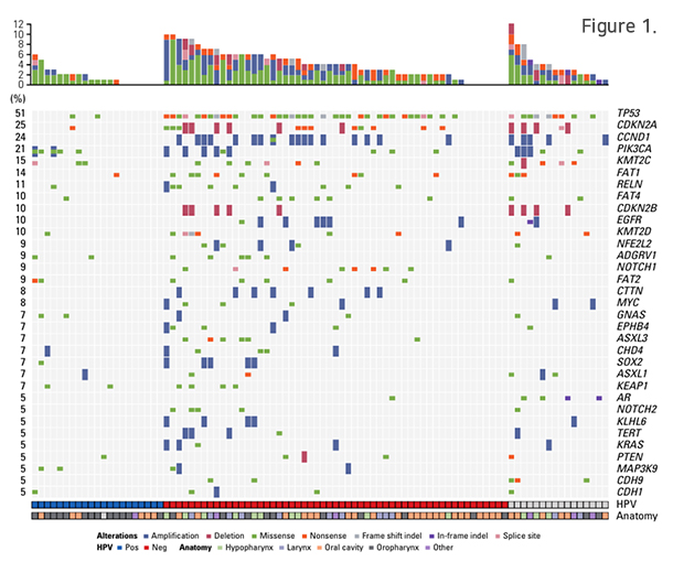 대한항암요법연구회