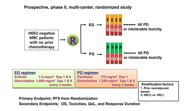 대한항암요법연구회