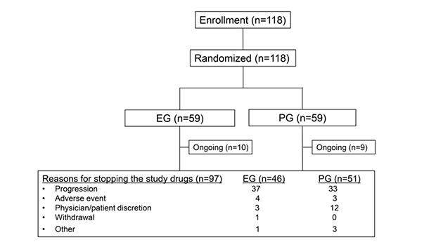 대한항암요법연구회