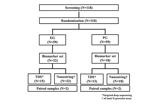 대한항암요법연구회